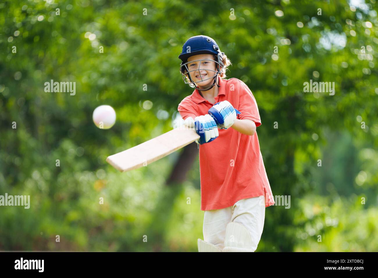 Kids playing cricket in summer park. Boy with bat and ball on cricket ...