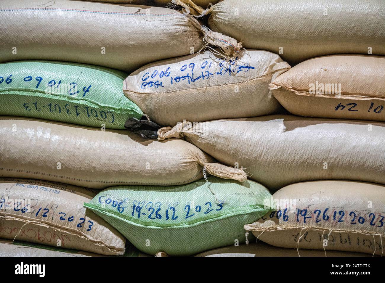 Coffee Farm (Finca Don Pepe), Panama Stock Photo - Alamy