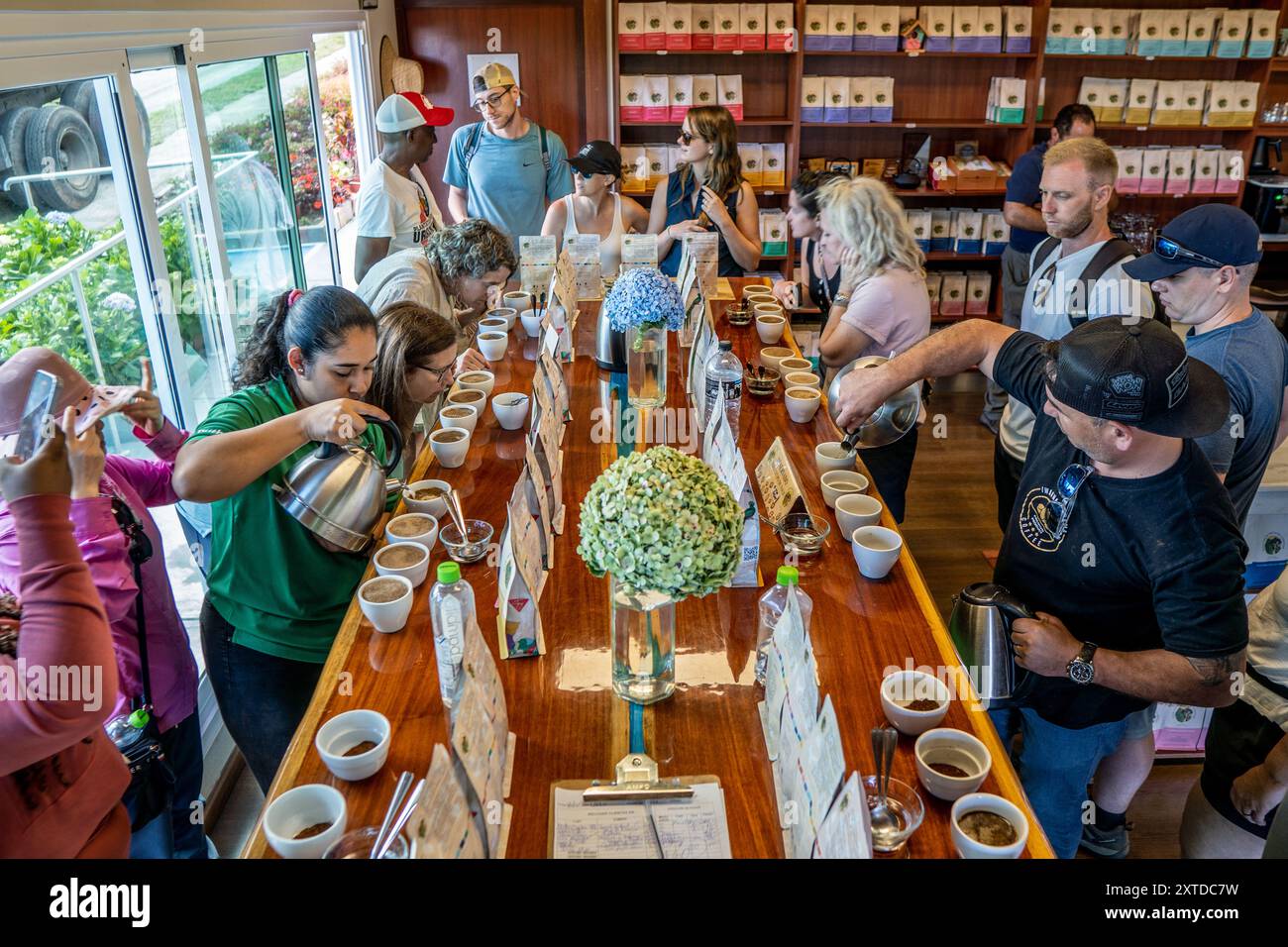 Panama Study Tour, Coffee Farm (Finca Don Pepe Stock Photo - Alamy