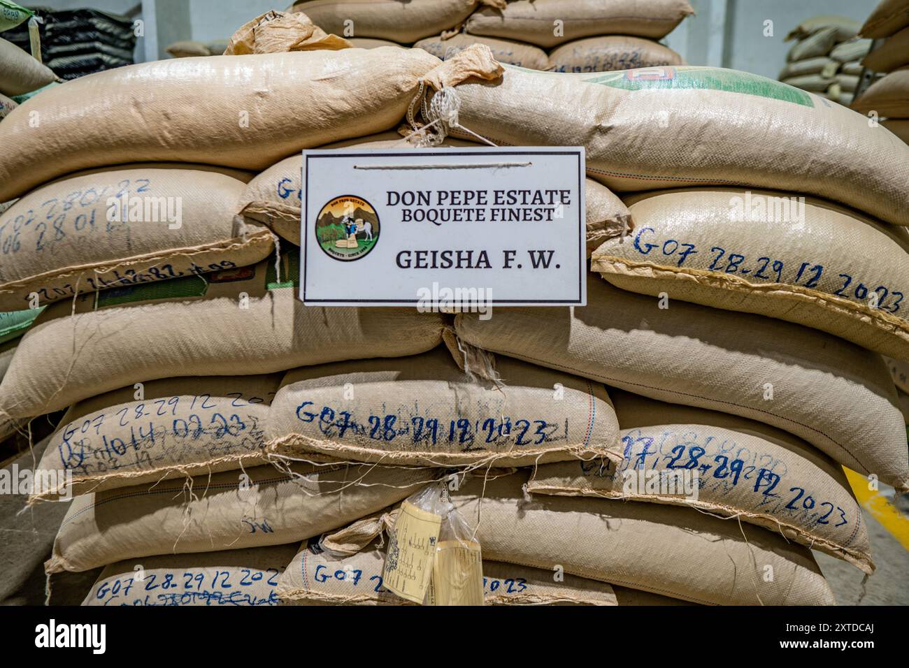 Coffee Farm (Finca Don Pepe), Panama Stock Photo - Alamy