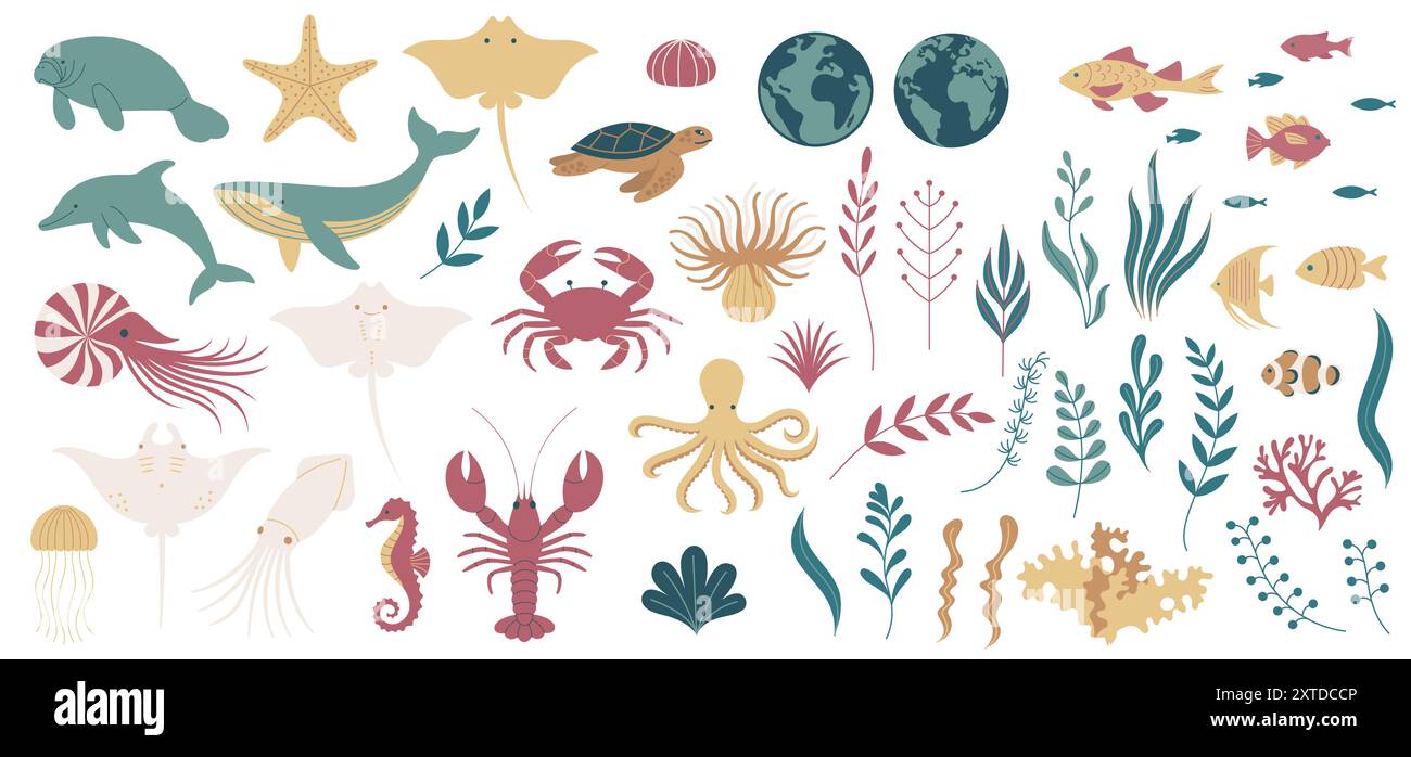 This image is a collection of sea elements including various fish ...