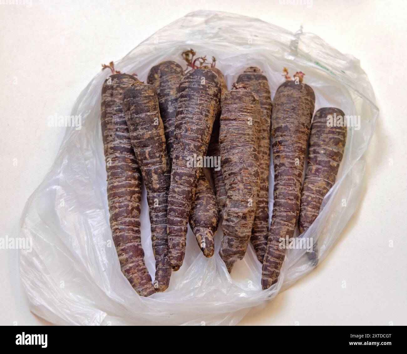 Unusual Organic Purple Carrots Root Vegetables in Bag Stock Photo - Alamy