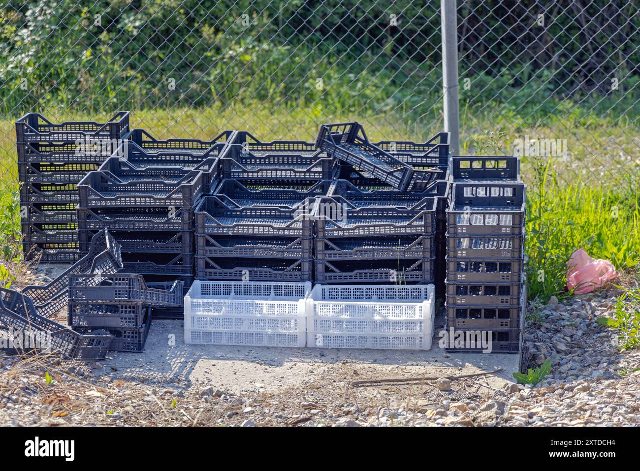 Produce packing hi-res stock photography and images - Alamy