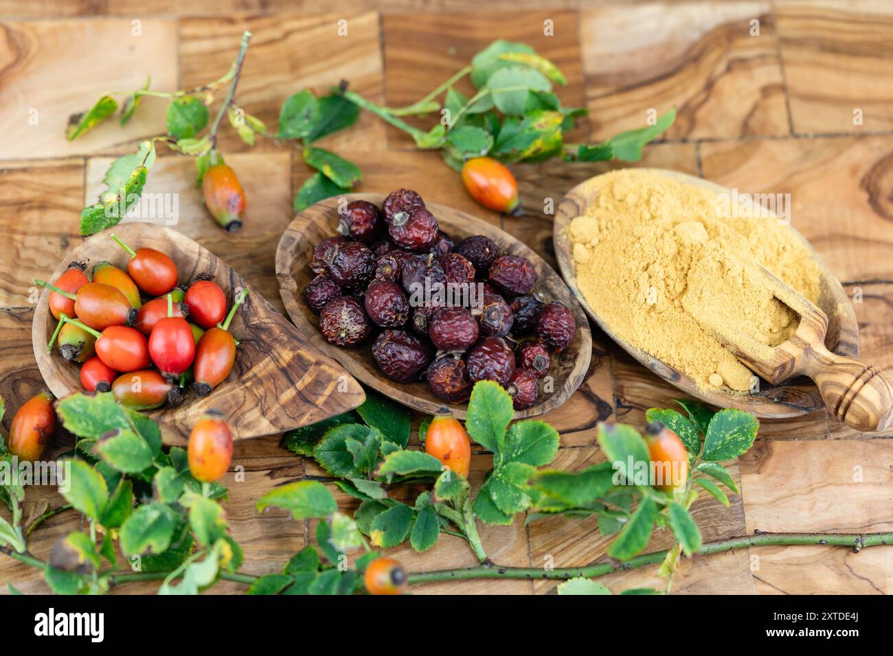 fresh or dried dog rose Rosa canina Stock Photo - Alamy