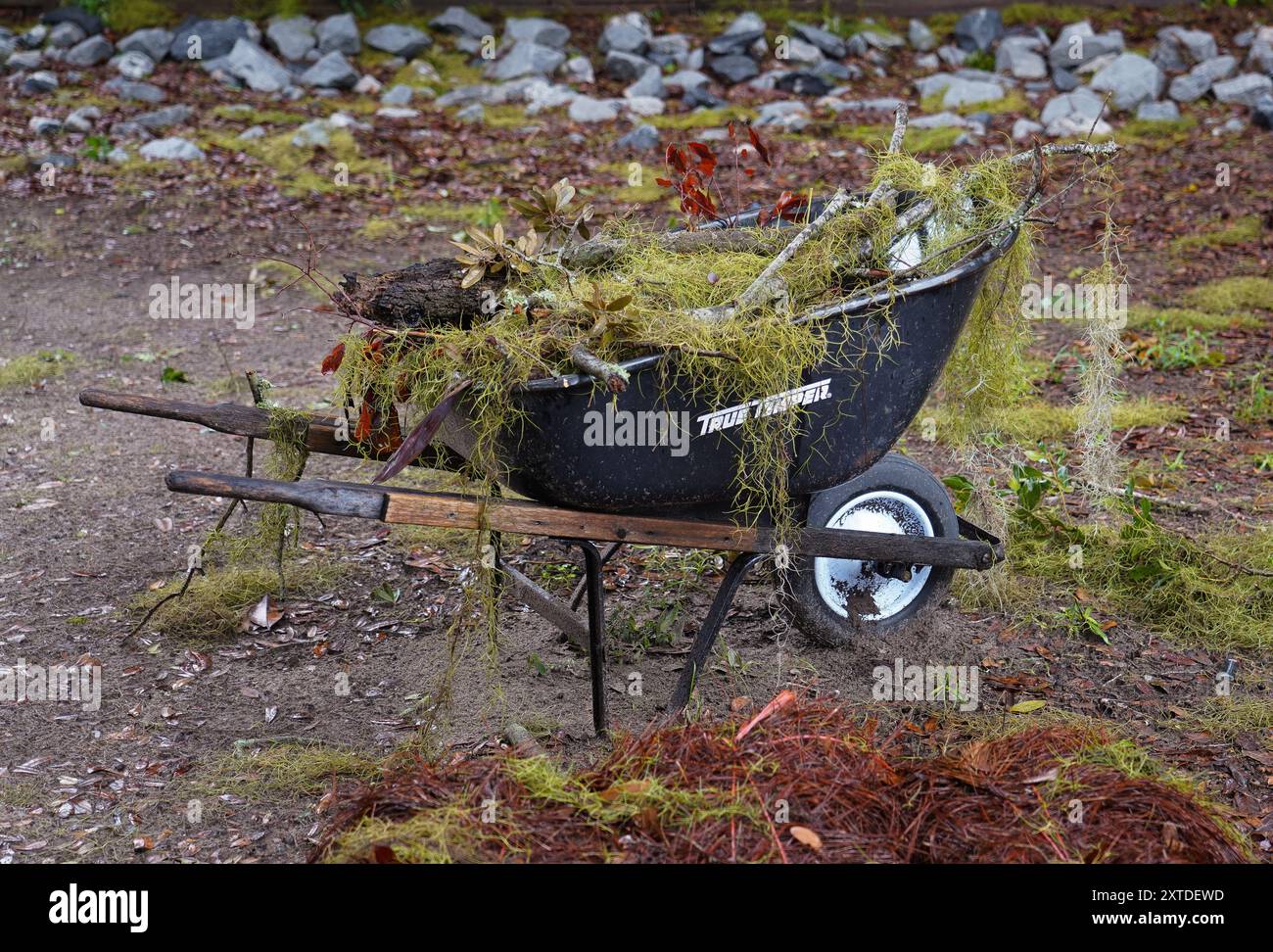 Wheelbarrow full of yard waste after a storm Stock Photo - Alamy