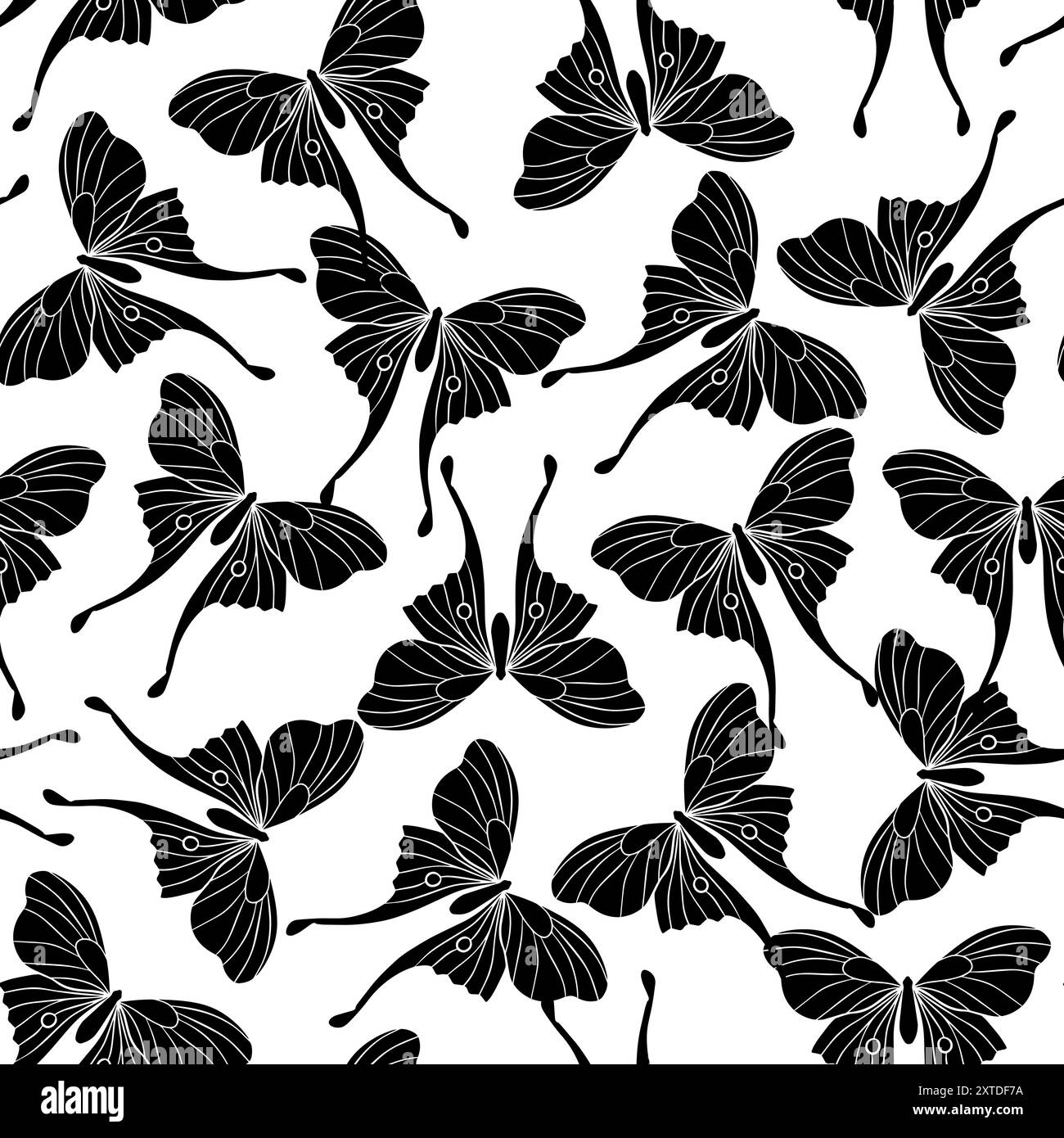 Moon moth white background Black and White Stock Photos & Images - Alamy