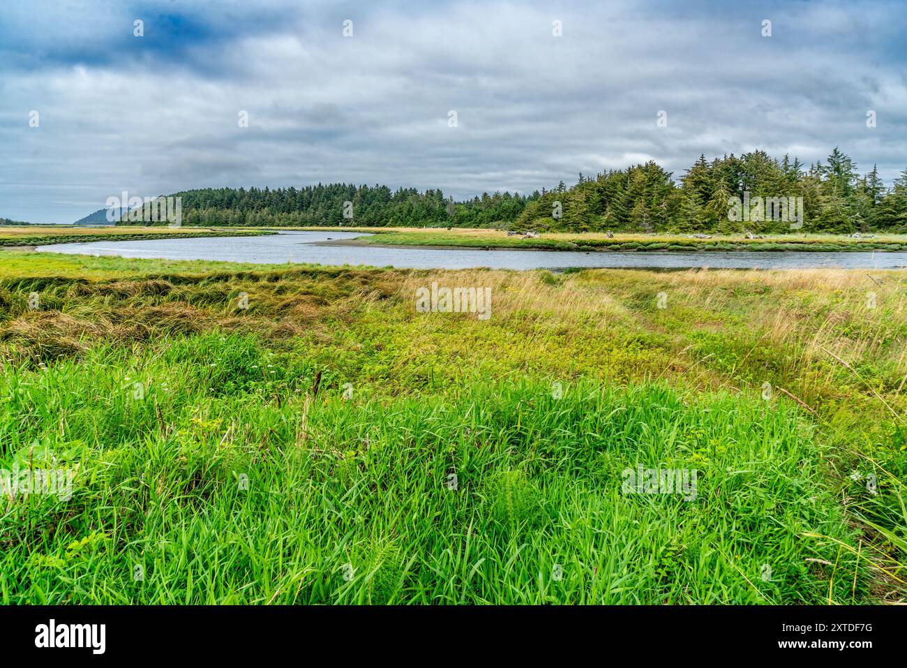 A landscape view of the Copalis River in Washington State Stock Photo ...