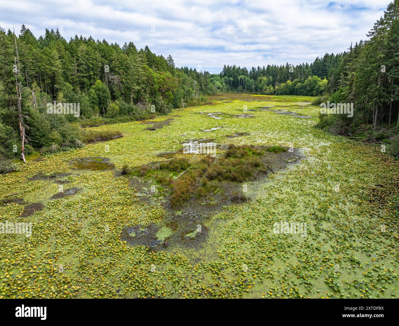 A drone landscape image of Fisher Pond on Vashon Island in Washington ...