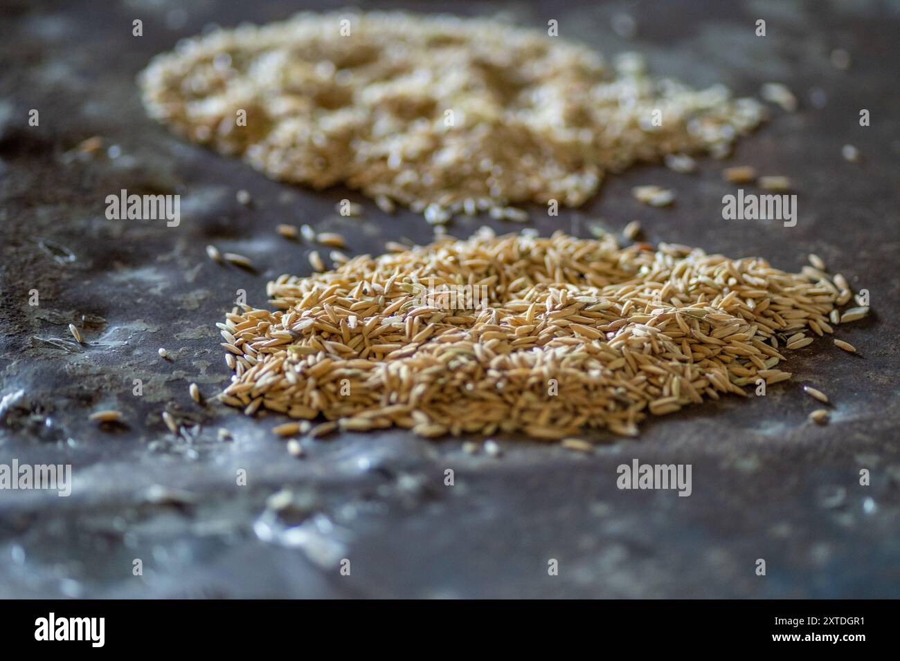 Pza hi-res stock photography and images - Alamy