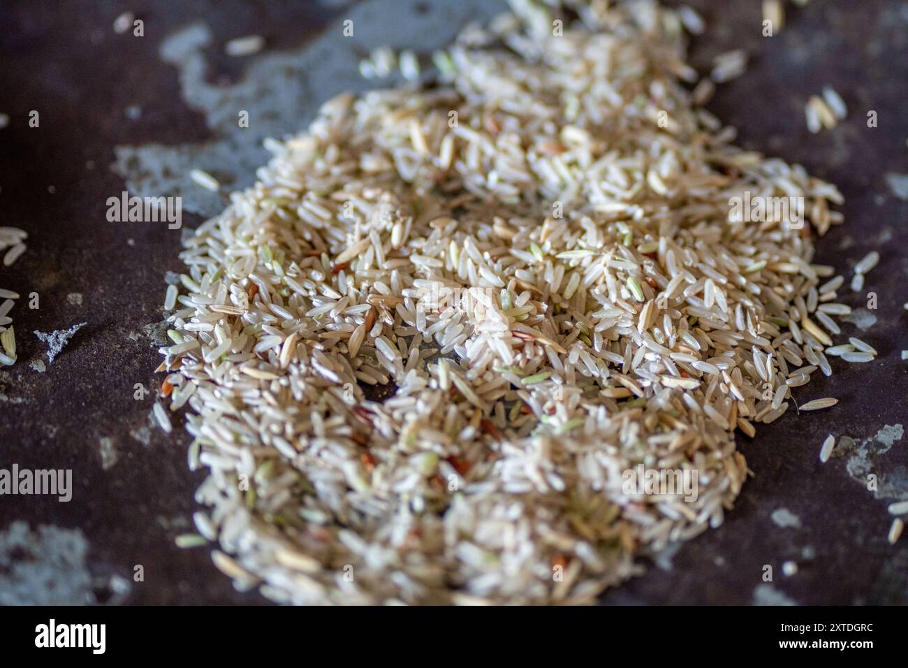 Hermanos Motta PZA Farm. Rice Mill in Panama Stock Photo - Alamy