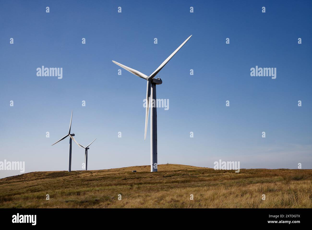 The turbines of Scout Moor Windfarm Stock Photo - Alamy
