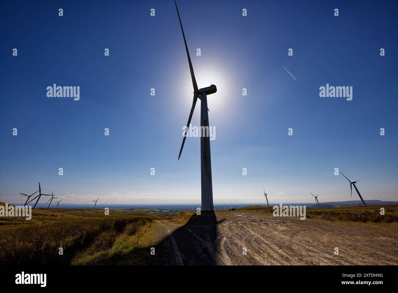 The turbines of Scout Moor Windfarm Stock Photo - Alamy