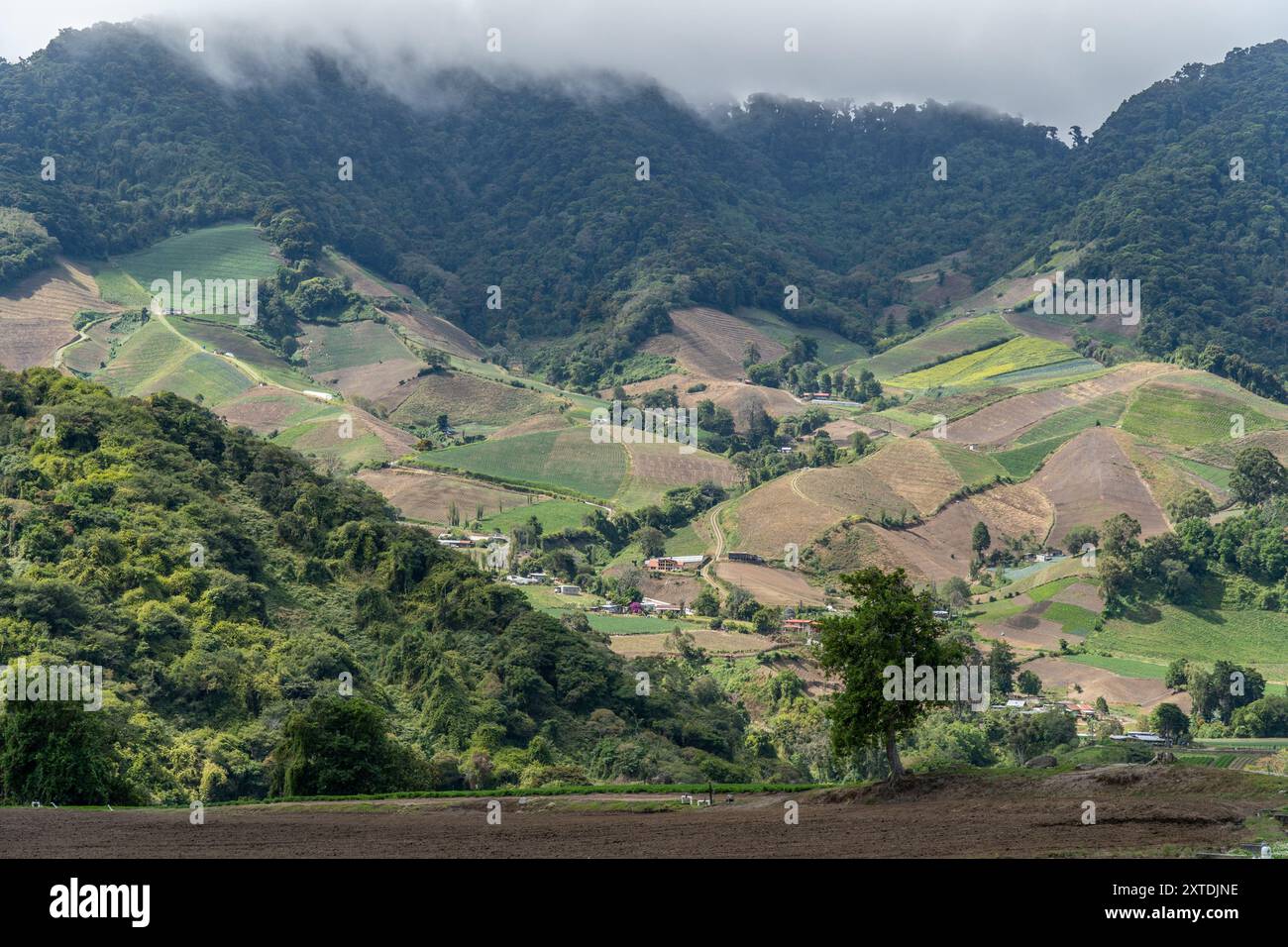 Chiriqu panama hi-res stock photography and images - Alamy