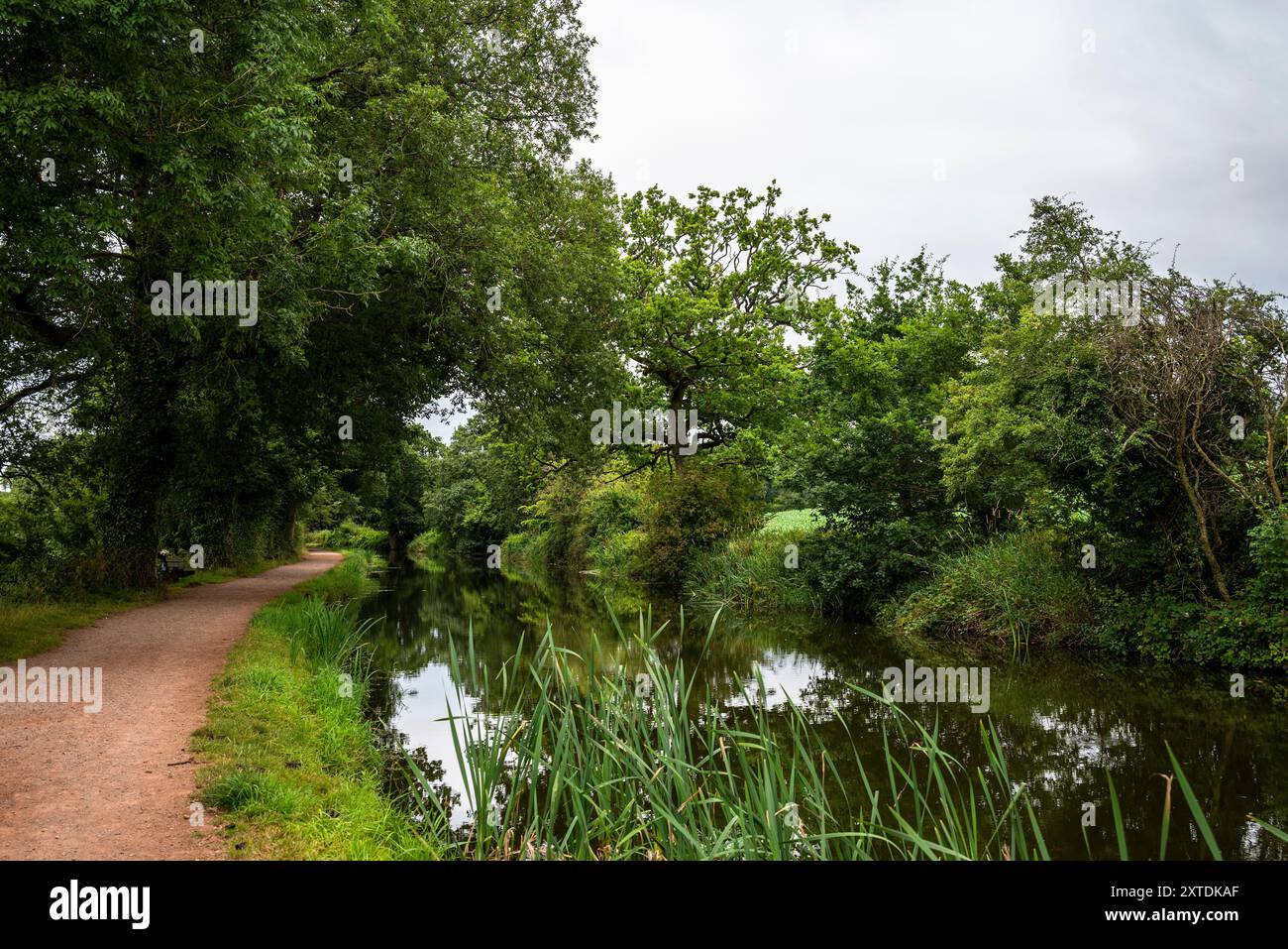 Grand Western Canal Country Park and Local Nature Reserve meanders for ...