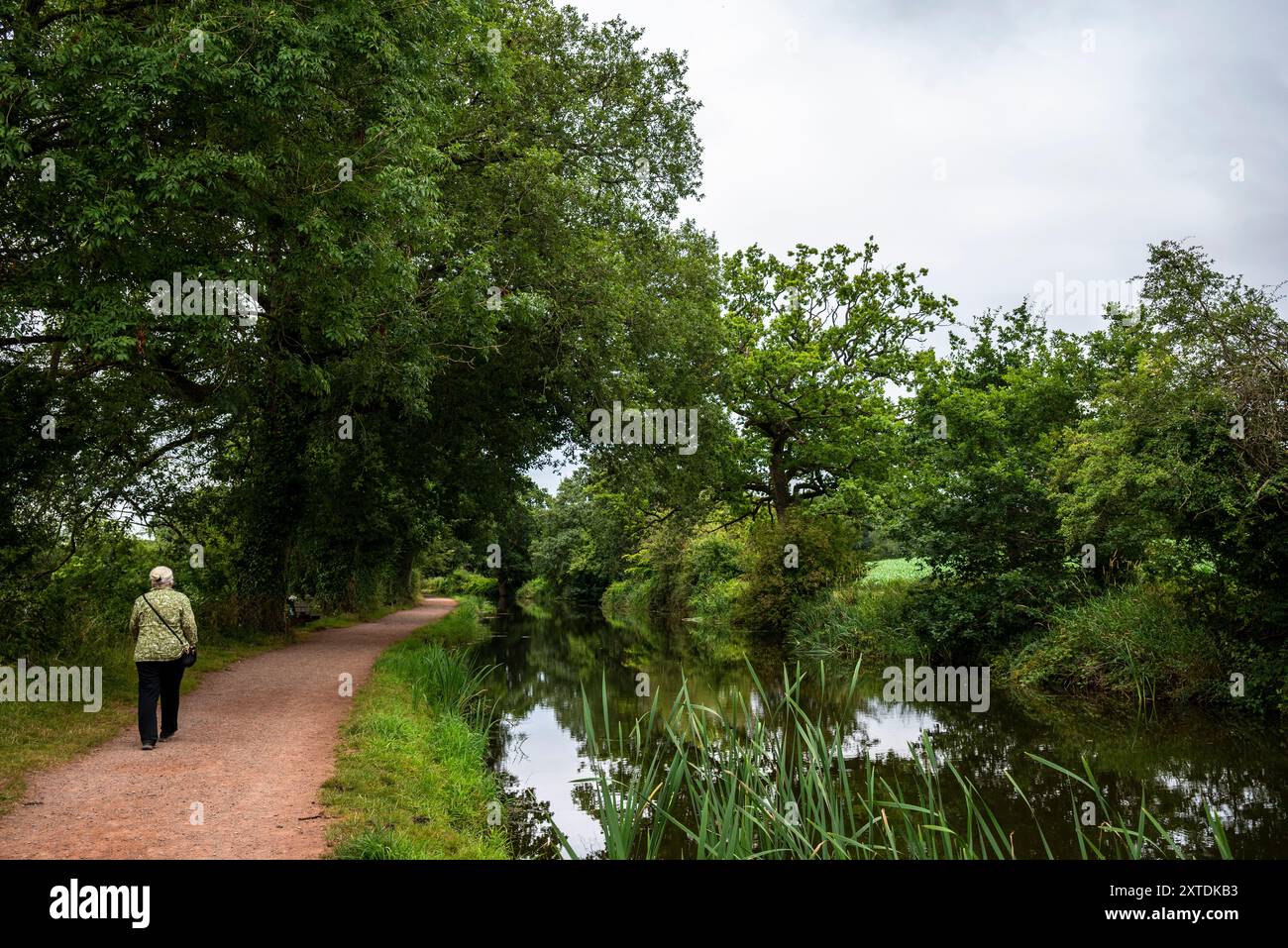 Grand Western Canal Country Park and Local Nature Reserve meanders for ...