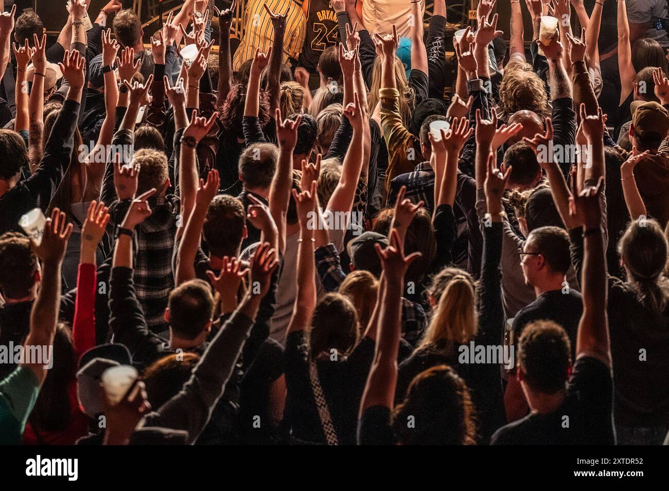 Audience at a live concert Stock Photo - Alamy