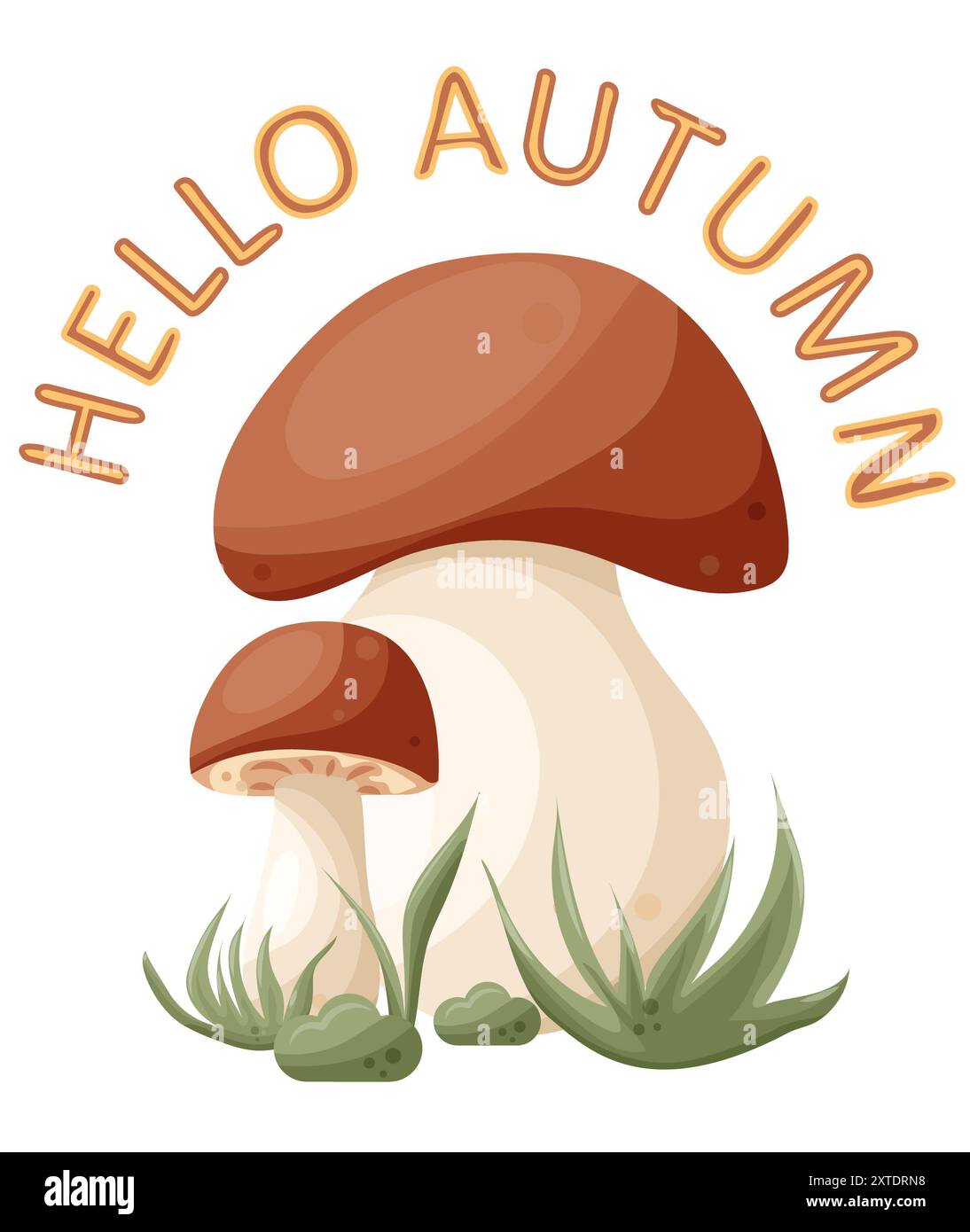 Fall forest mushrooms with grass composition, fungi illustration ...