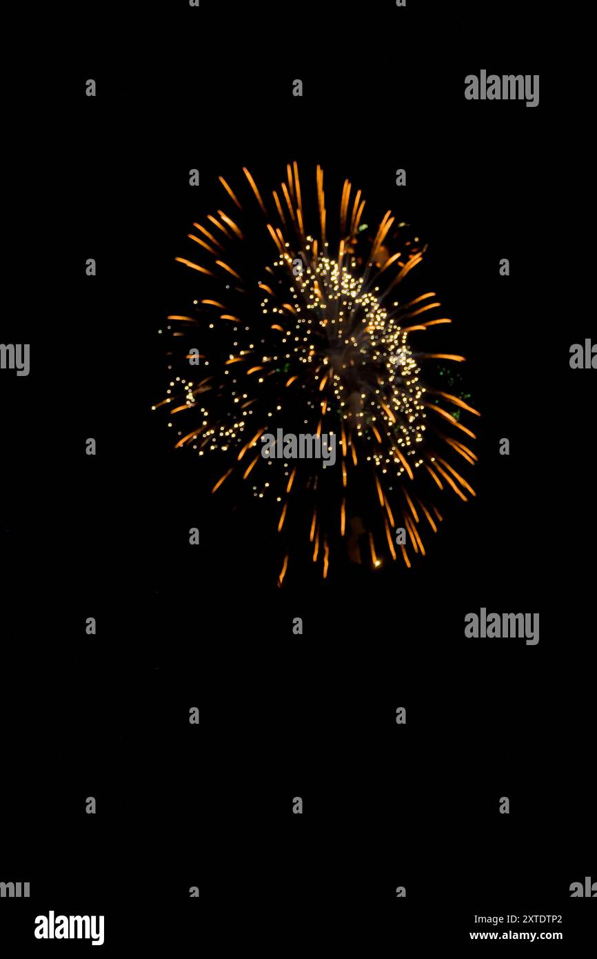 Vibrant fireworks illuminate the night sky in explosive celebration ...