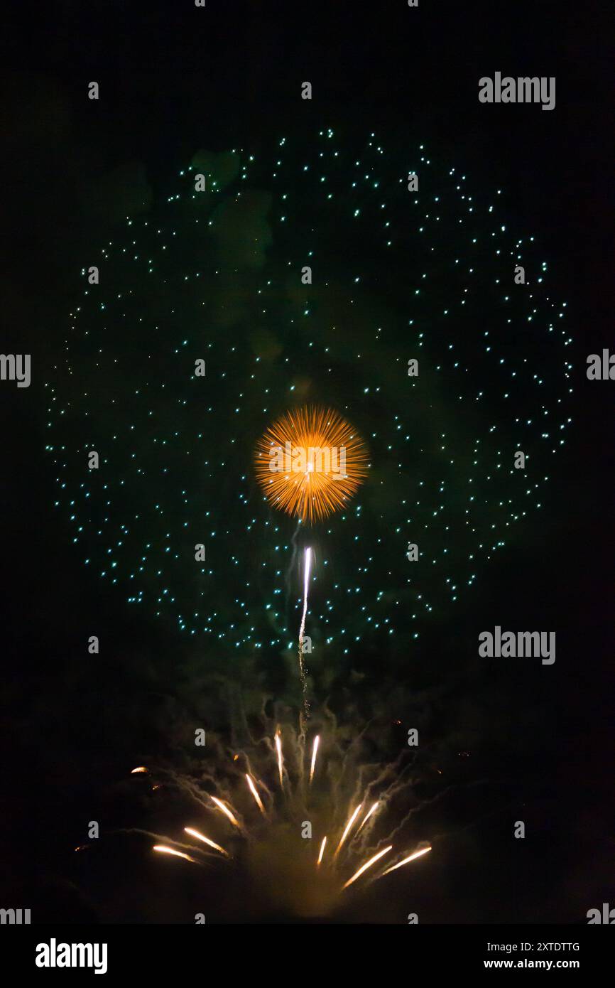 Vibrant fireworks illuminate the night sky in explosive celebration ...