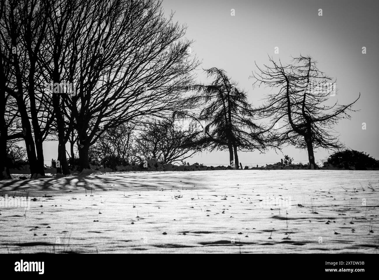 Yorkshire winter wonderland Black and White Stock Photos & Images - Alamy