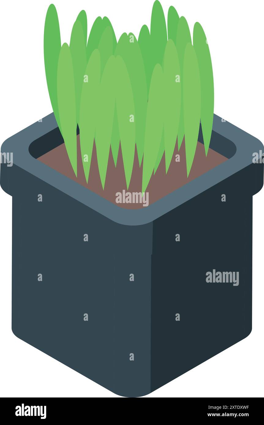 Green grass growing in a gray pot from an isometric point of view ...