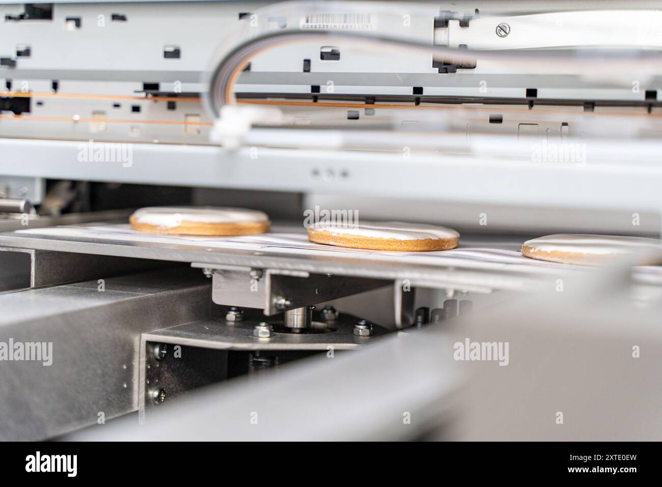 A food printer prints cookies with frosting. New technologies of the ...