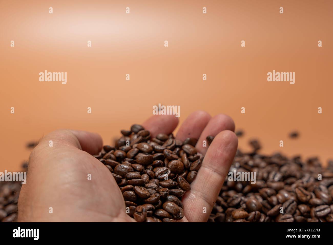 A hand holds a handful of coffee beans on a brown background. The beans ...