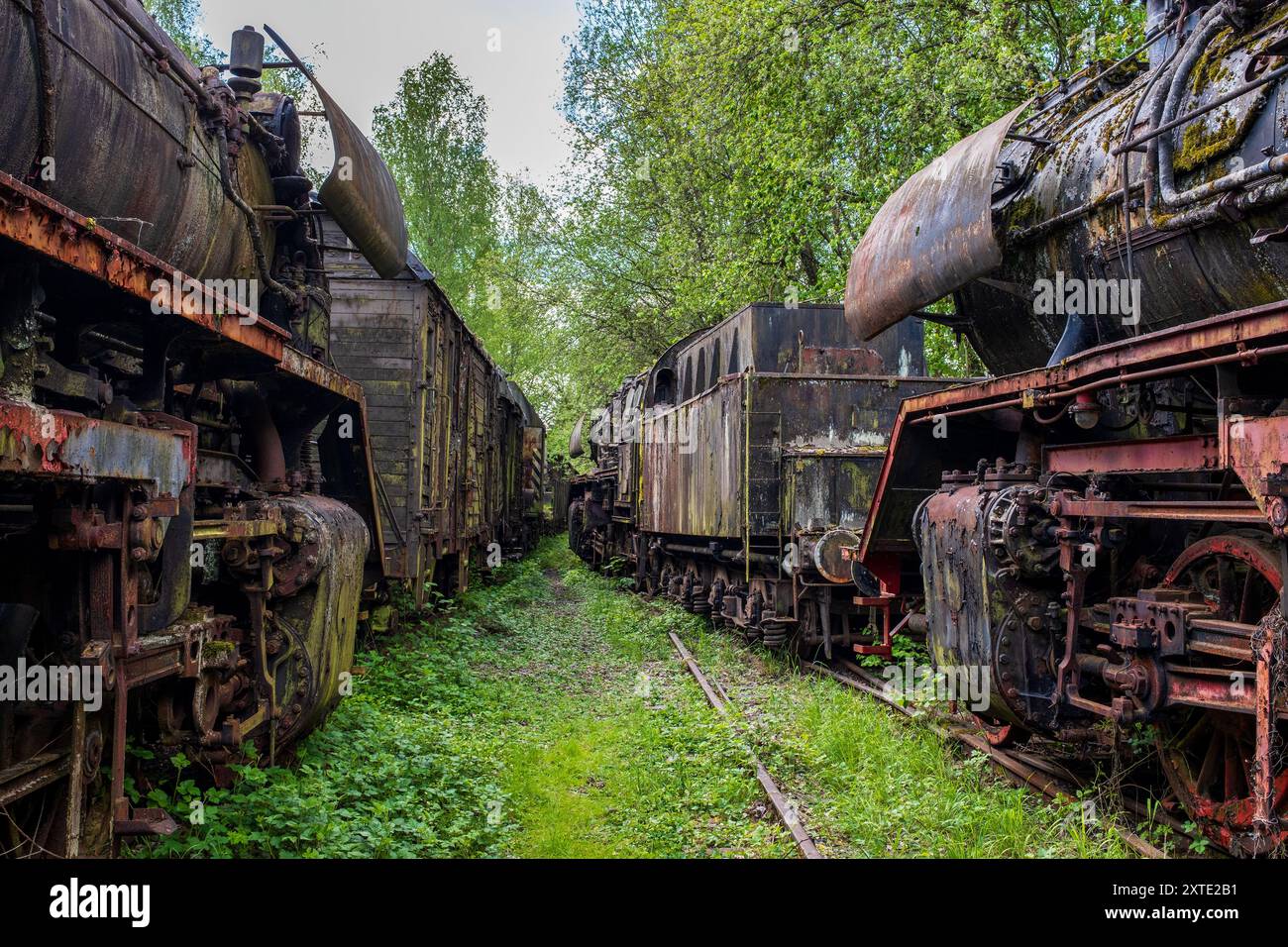 Old historic railway vehicles in Germany Stock Photo - Alamy