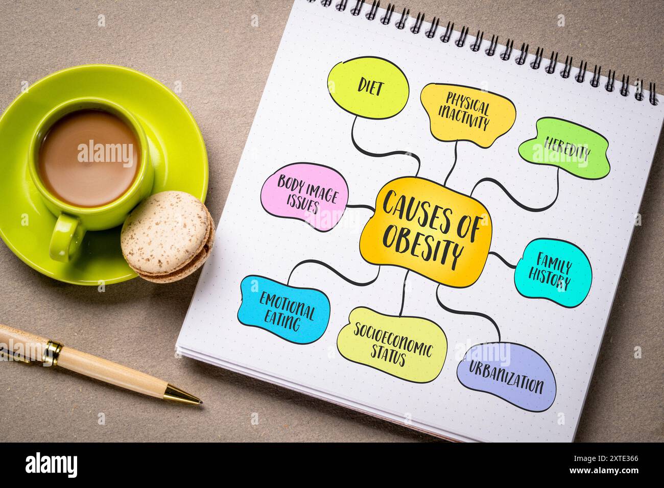 lifestyle, genetic, environmental and pychological causes of obesity ...