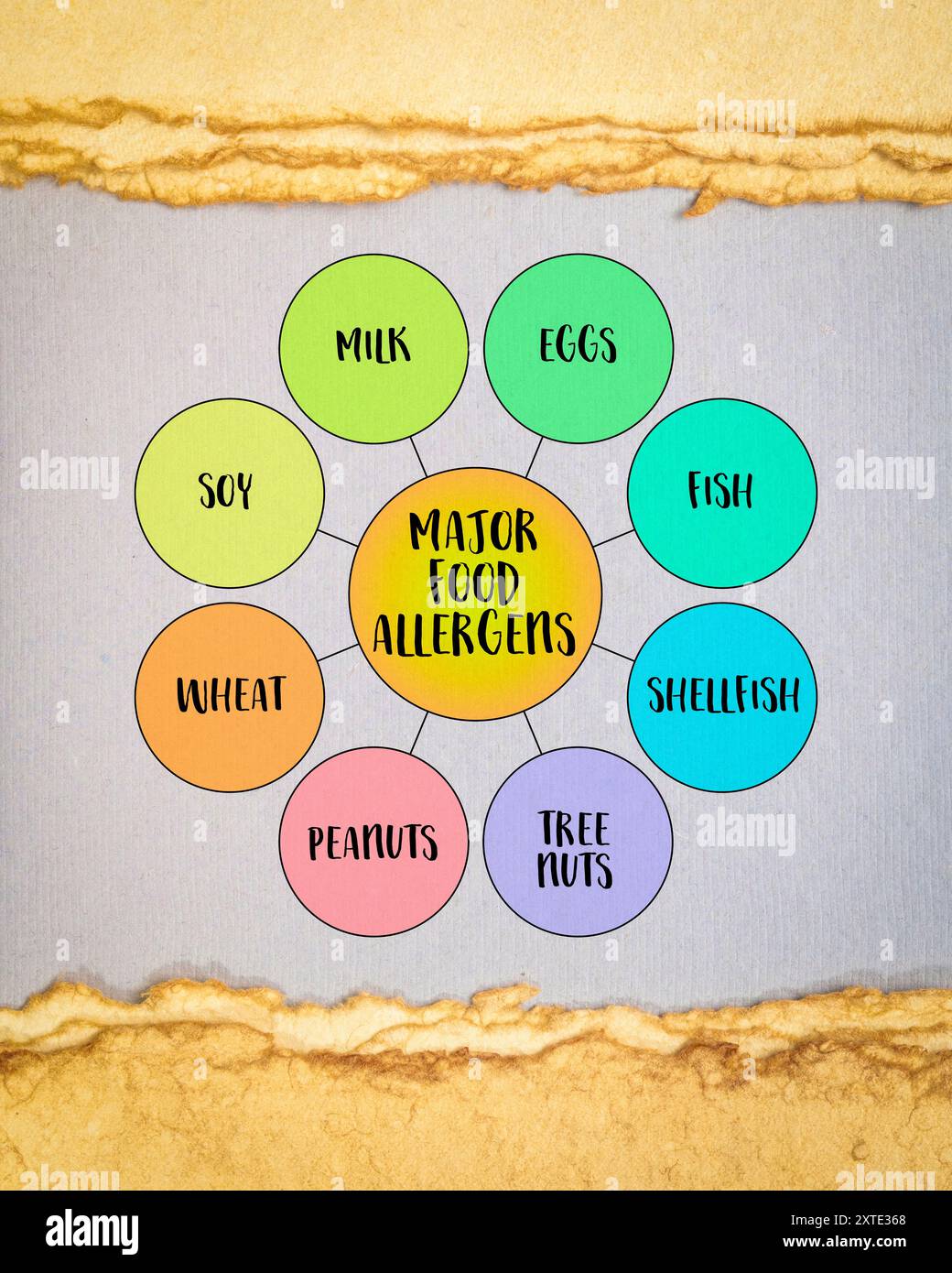 big eight food allergens responsible for the majority of food allergy ...