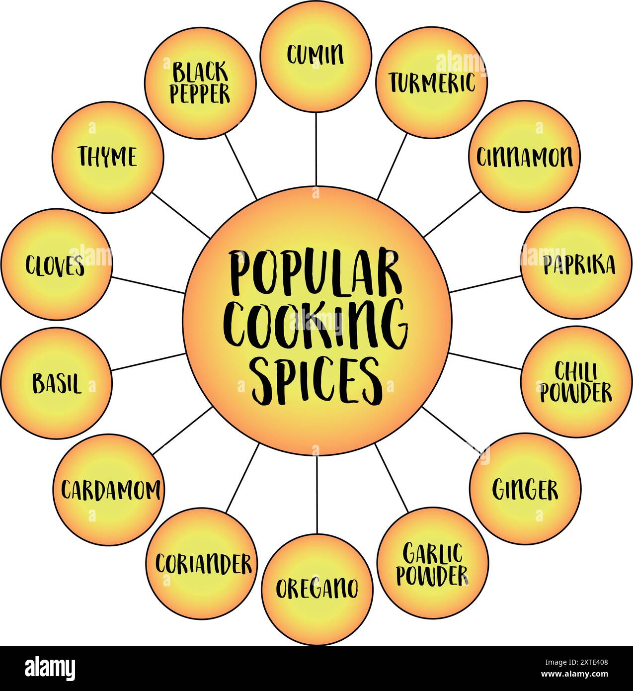 popular cooking spices around the world, vector diagram infographics ...