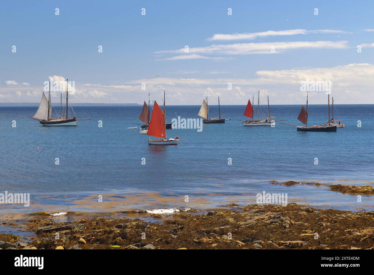 Cornish Luggers racing in Mousehole Sea, Salts and Sail 2024. Mousehole ...