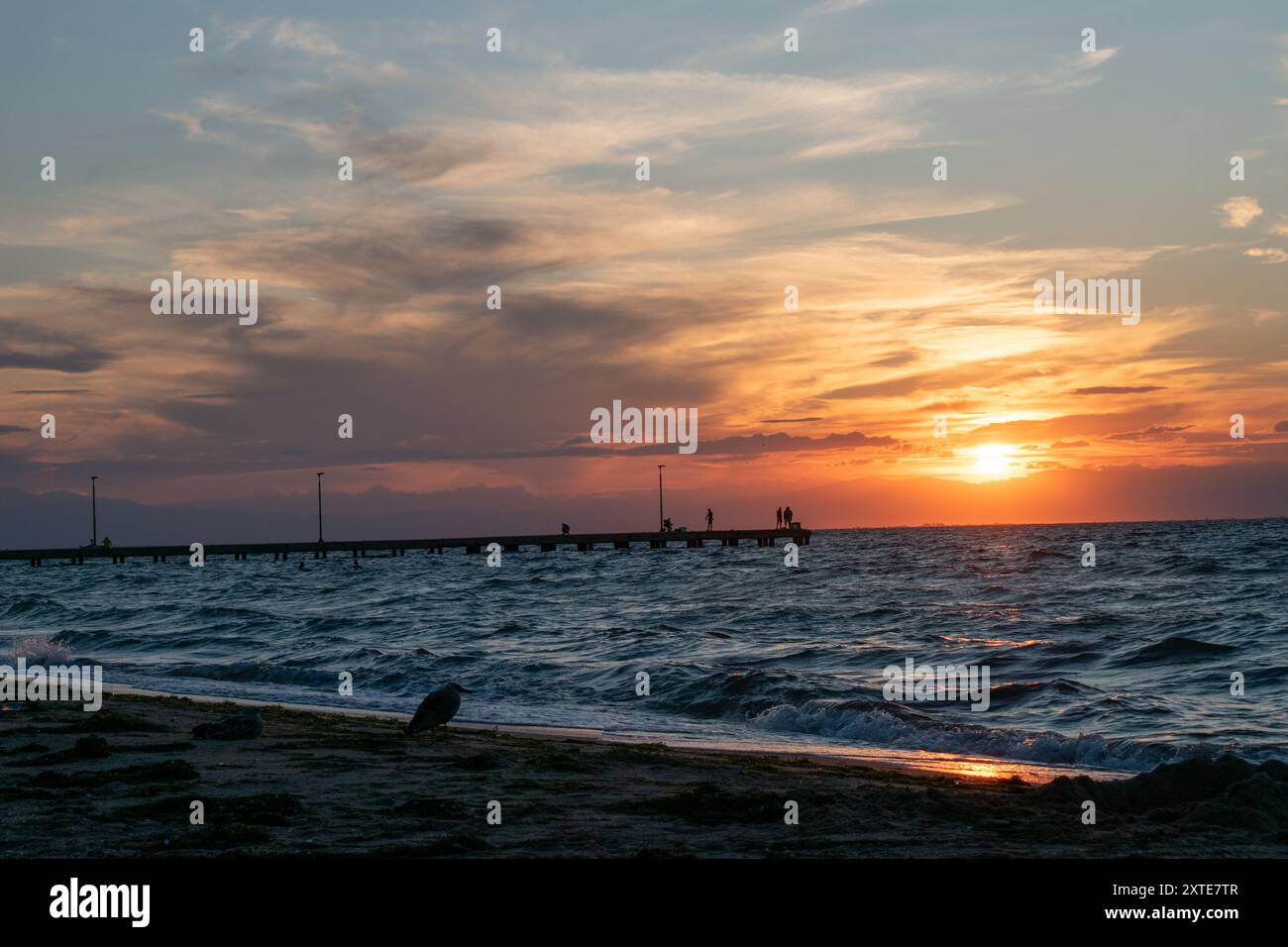 Golden time of photography hi-res stock photography and images - Alamy