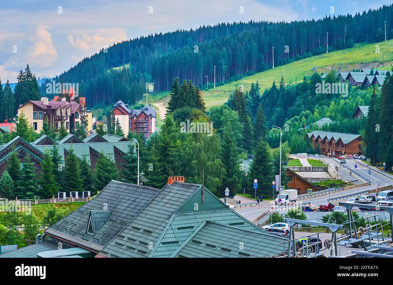 The lush spruce forest on the mountain slope behind the roofs of resort ...