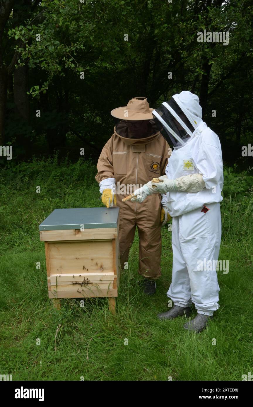 Two beekeepers about to open a bee hive Stock Photo - Alamy