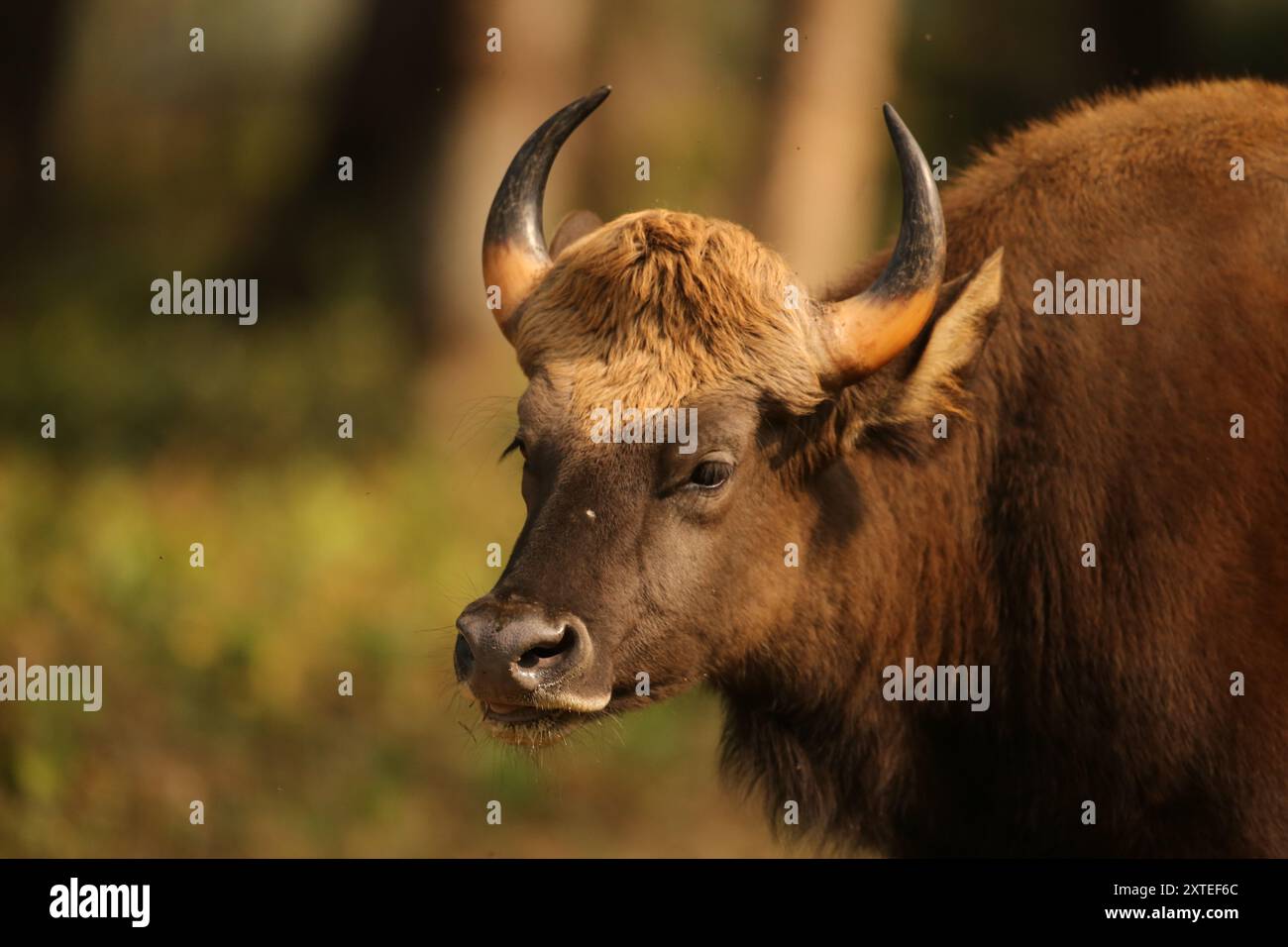 Happy baur in bhutan hi-res stock photography and images - Alamy