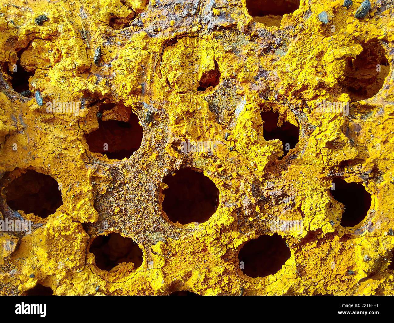 A grid filter with round holes displays yellow sediment accumulation ...
