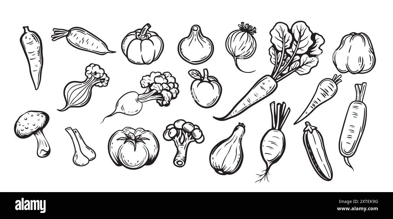 Vegetable and fruits pattern set, doodle Organic doodle food vegetarian ...