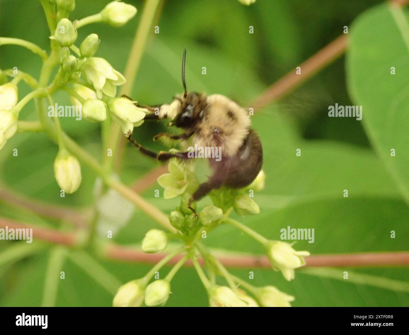 Abrupt digger hi-res stock photography and images - Alamy