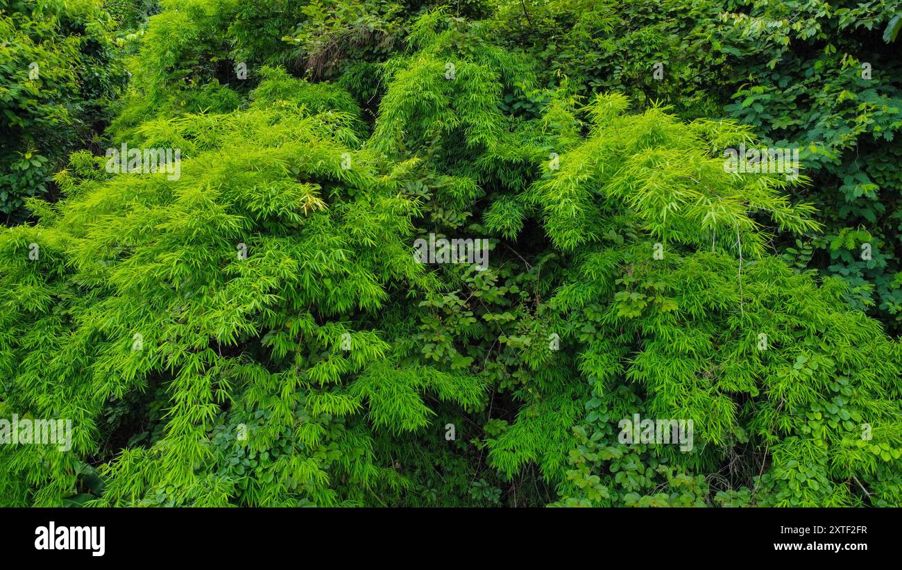 Close up aerial view 4k hi-res stock photography and images - Alamy