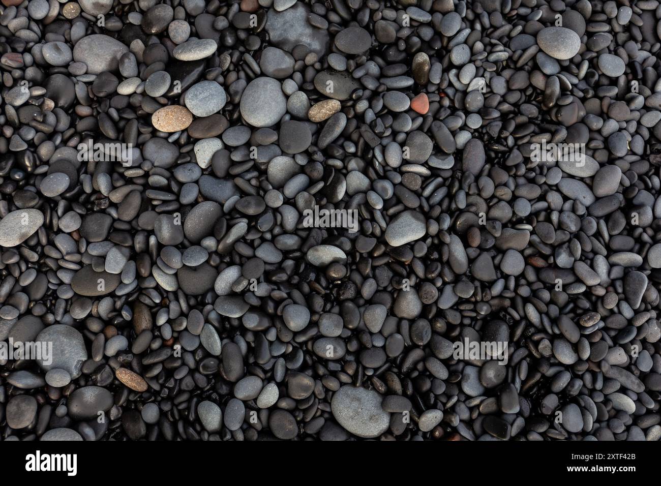 Black and gray basalt pebbles on black sand, Reynisfjara Black Sand ...