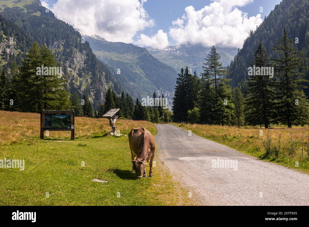 Impressionen aus Mallnitz Nationalpark Hohe Tauern Seebachtal Stock ...