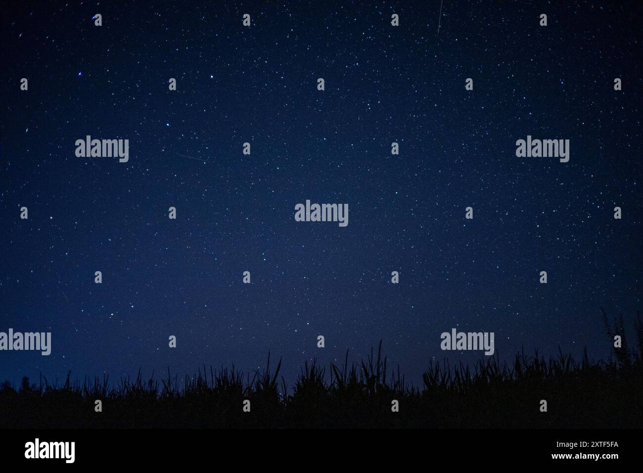 Starry sky night telescope hi-res stock photography and images - Alamy