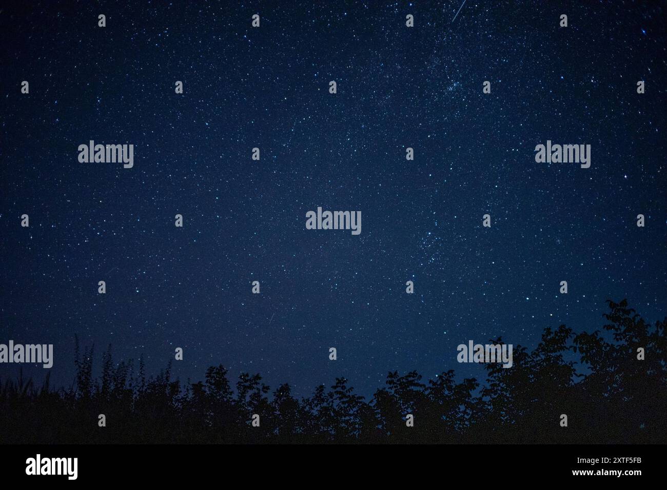 Starry sky in summer hi-res stock photography and images - Alamy