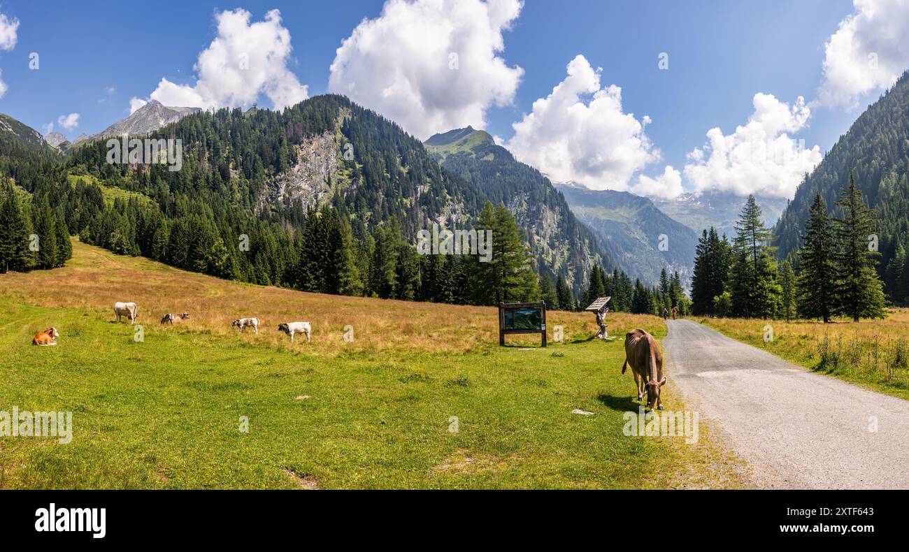 Impressionen aus Mallnitz Nationalpark Hohe Tauern Seebachtal Stock ...