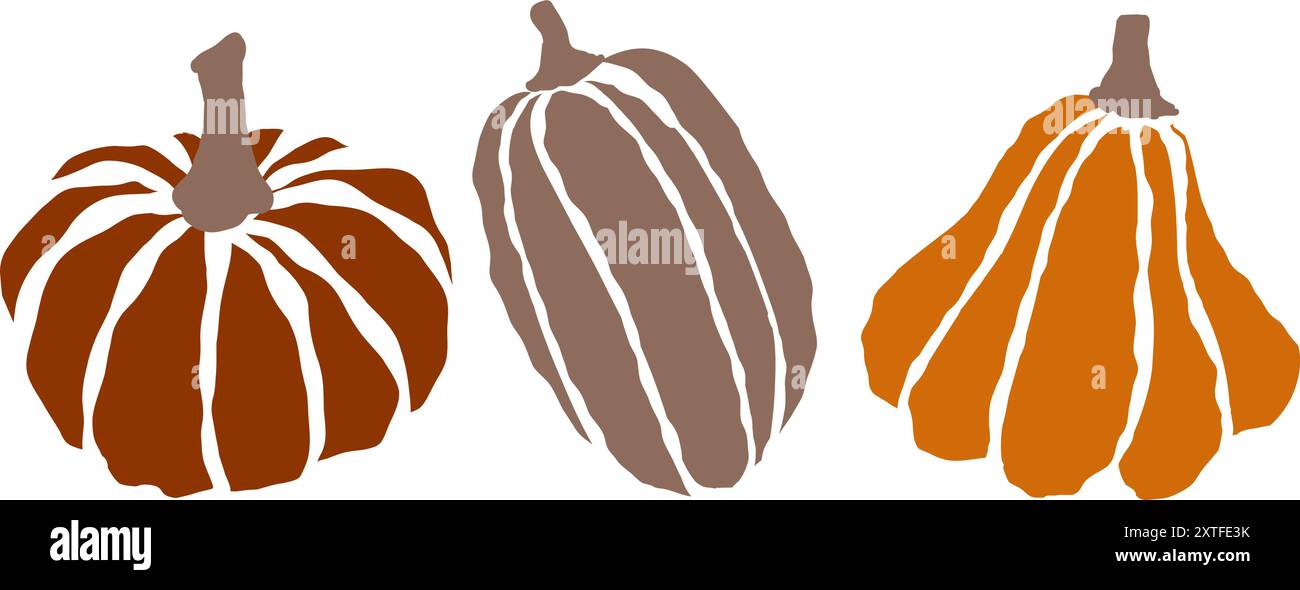 A trio of decorative pumpkins showcasing fall colors and unique shapes ...