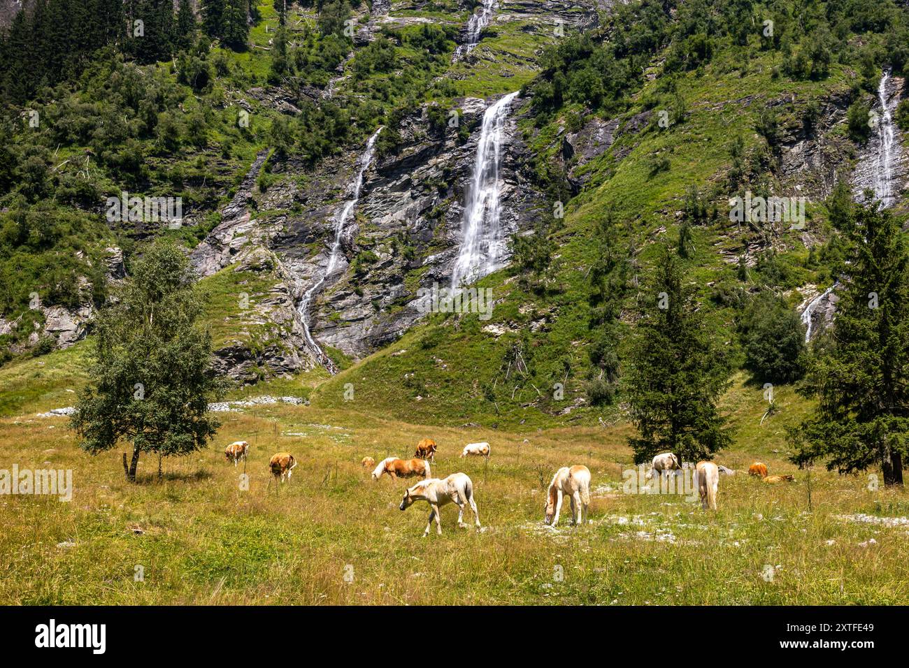 Impressionen aus Mallnitz Nationalpark Hohe Tauern Seebachtal Stock ...