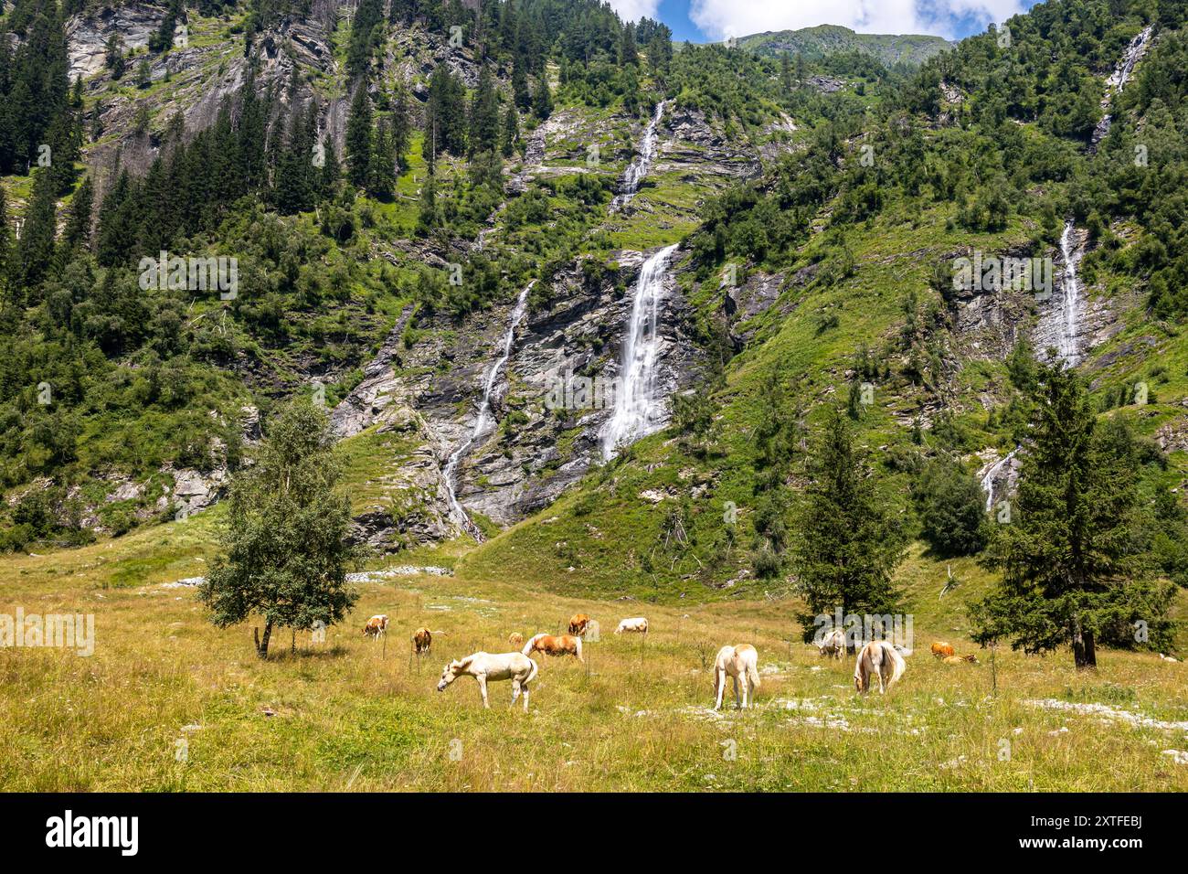 Impressionen aus Mallnitz Nationalpark Hohe Tauern Seebachtal Stock ...