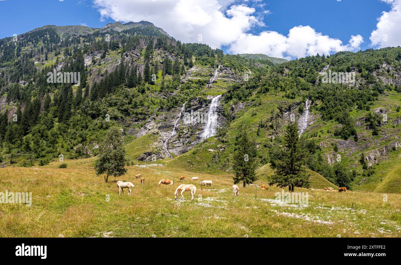 Impressionen aus Mallnitz Nationalpark Hohe Tauern Seebachtal Stock ...