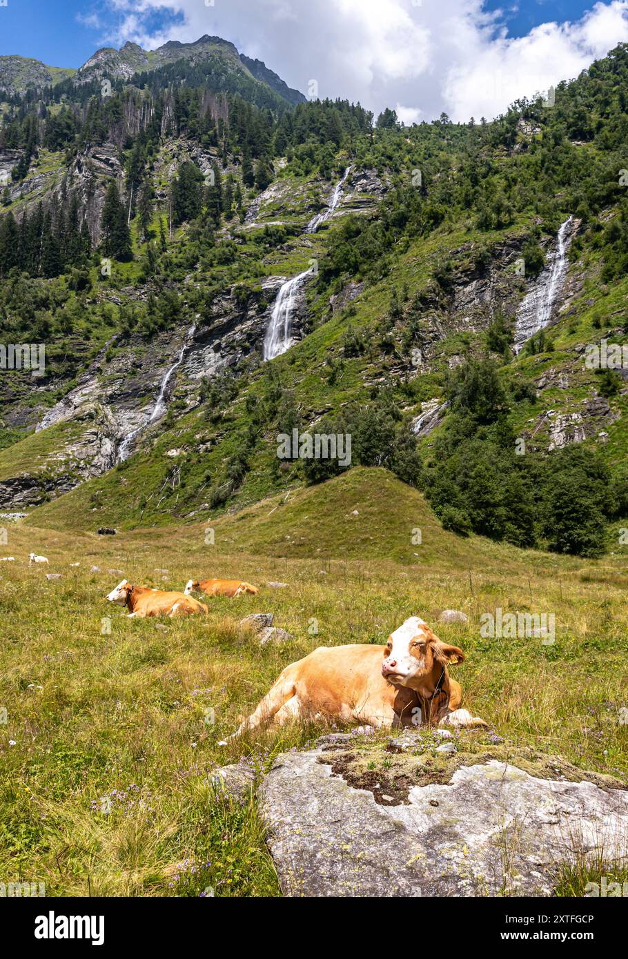 Impressionen aus Mallnitz Nationalpark Hohe Tauern Seebachtal Stock ...